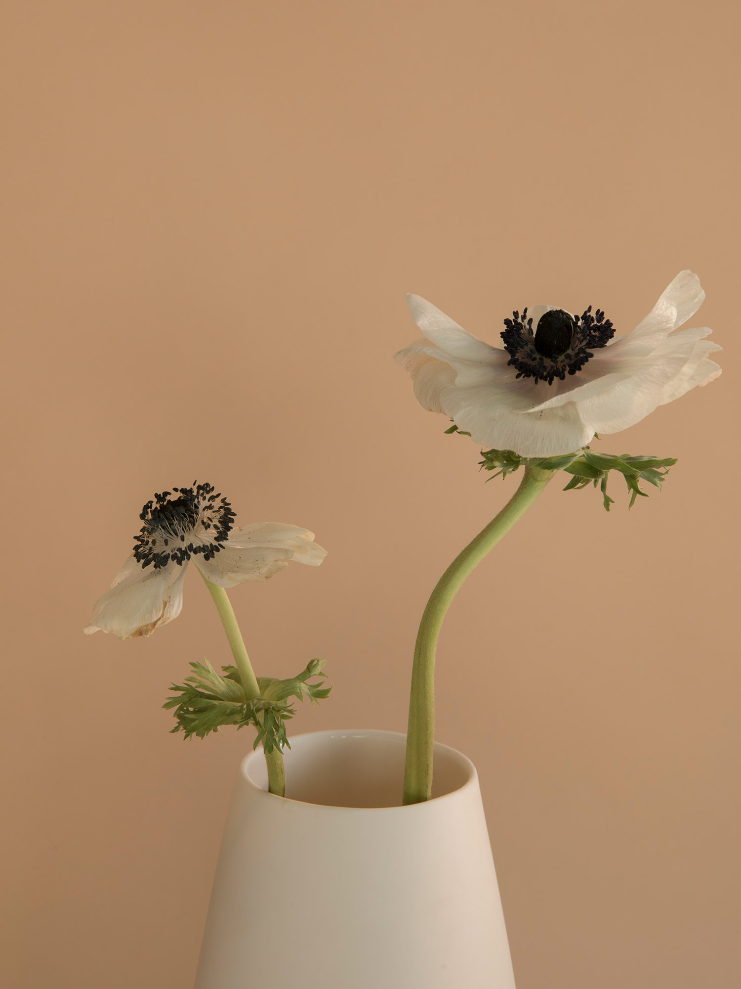 tōki ton – ceramics